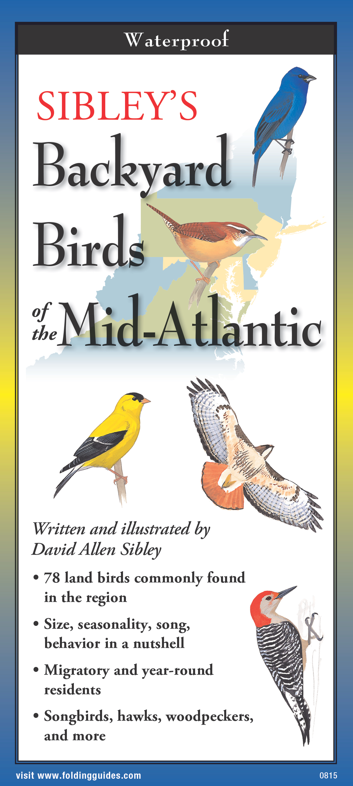 Sibley's Backyard Birds of the Mid-Atlantic Laminated Folding Guide by ...
